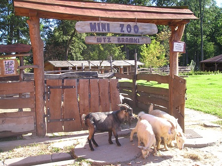 Warsztat Terapii Zajęciowej w Bramkach - Misja Warsztatu
